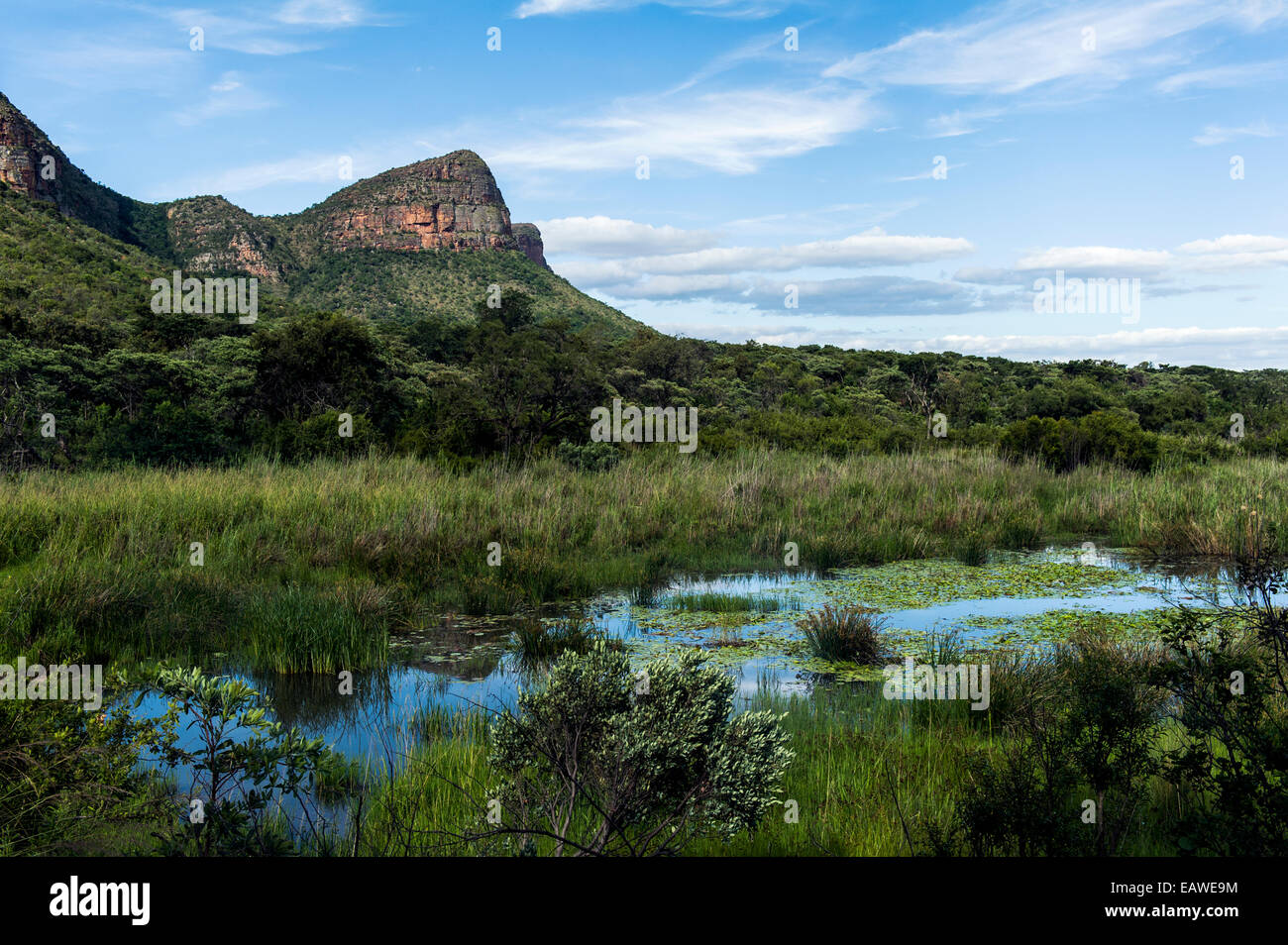 A lush verdant wetland surrounding the forested slopes of a mountain ...