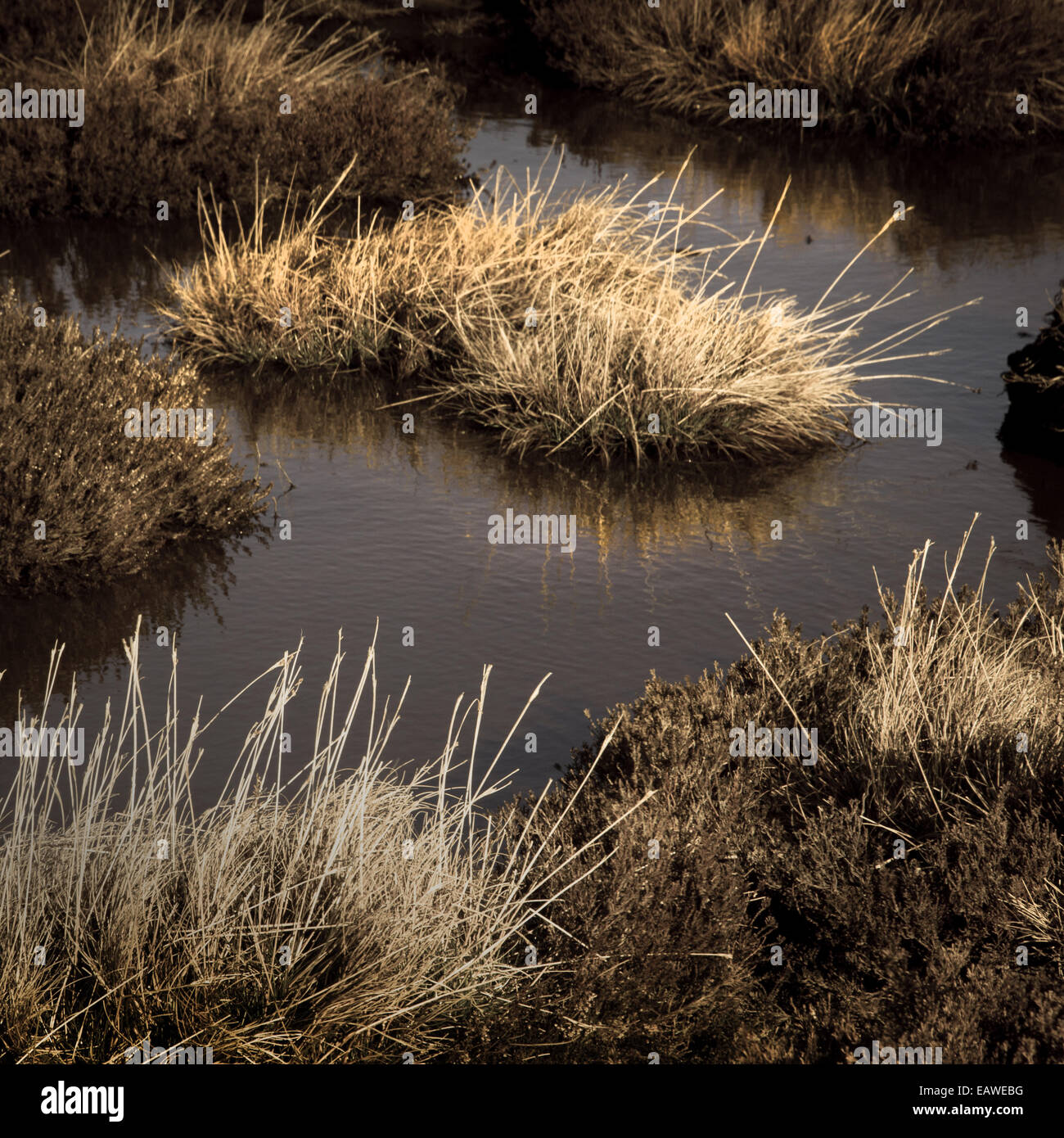 Tuussocks hi-res stock photography and images - Alamy