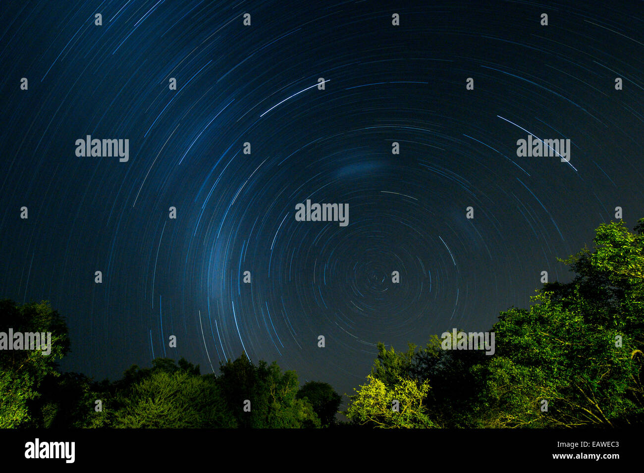 Canopy celestial hi-res stock photography and images - Alamy