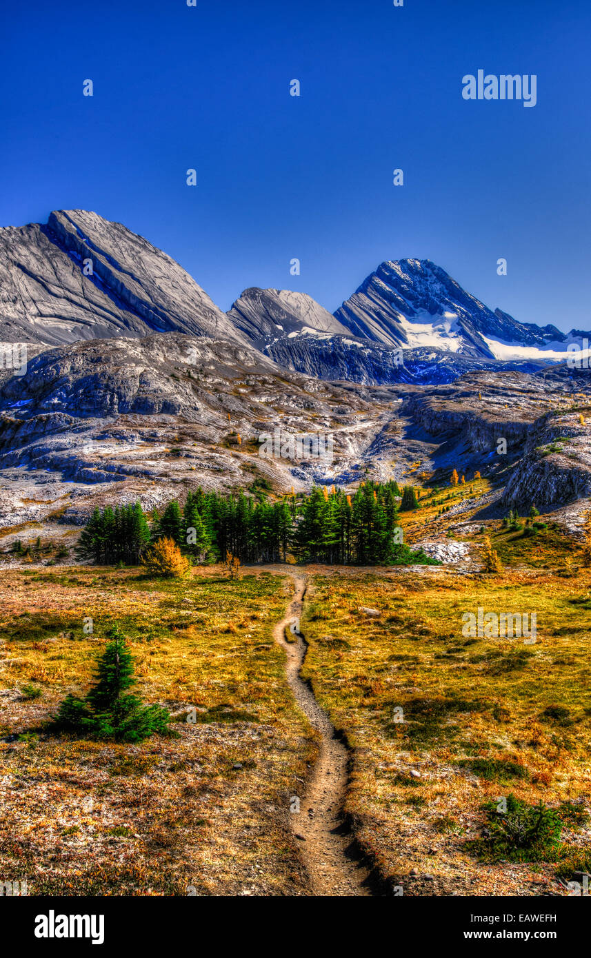 Scenic Landscapes of a high mountain valley and golden Larch Trees ...