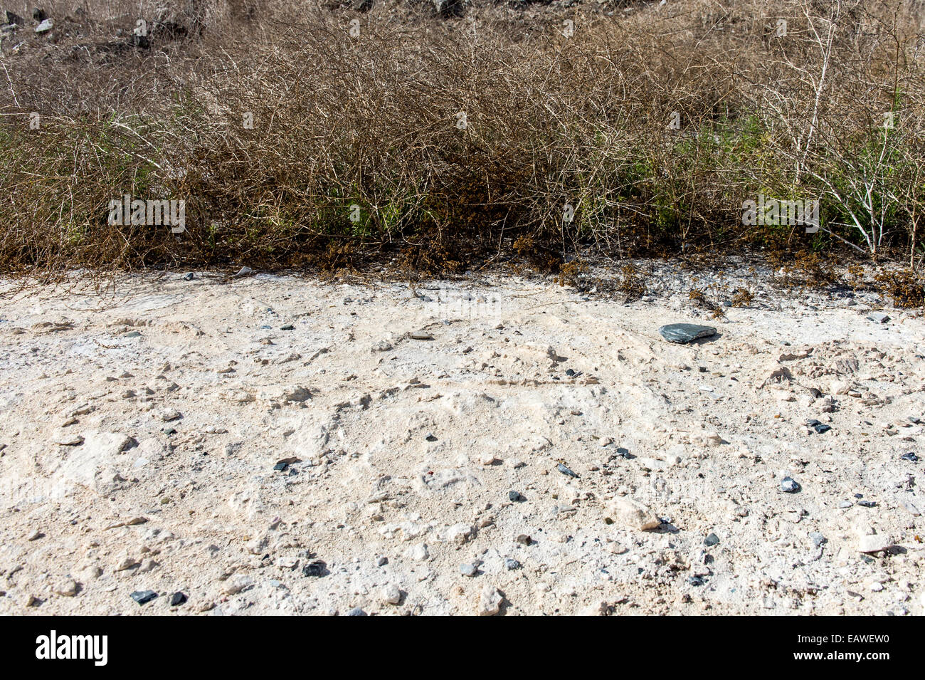 Dead shrubs and grasses line sulphur deposits in a prison mine Stock ...