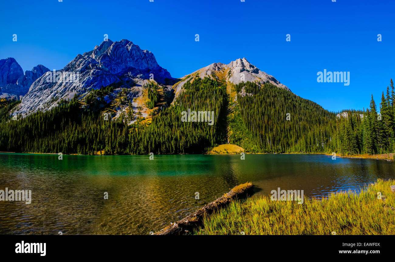 Scenic Landscapes of a high mountain valley and golden Larch Trees ...