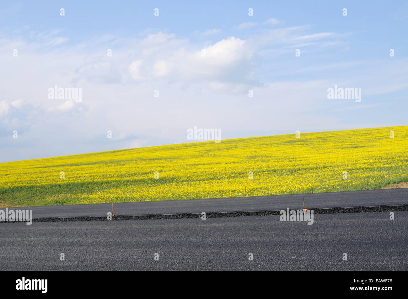 New road being build next to a yellow field Stock Photo - Alamy