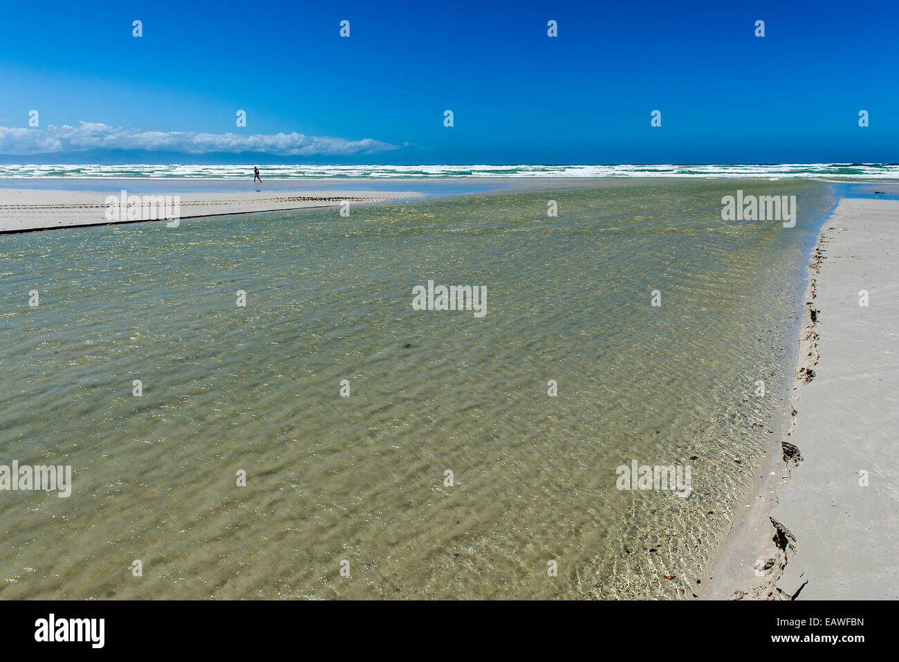 Freshwater from a mountain river flowing over a beach into the ocean ...