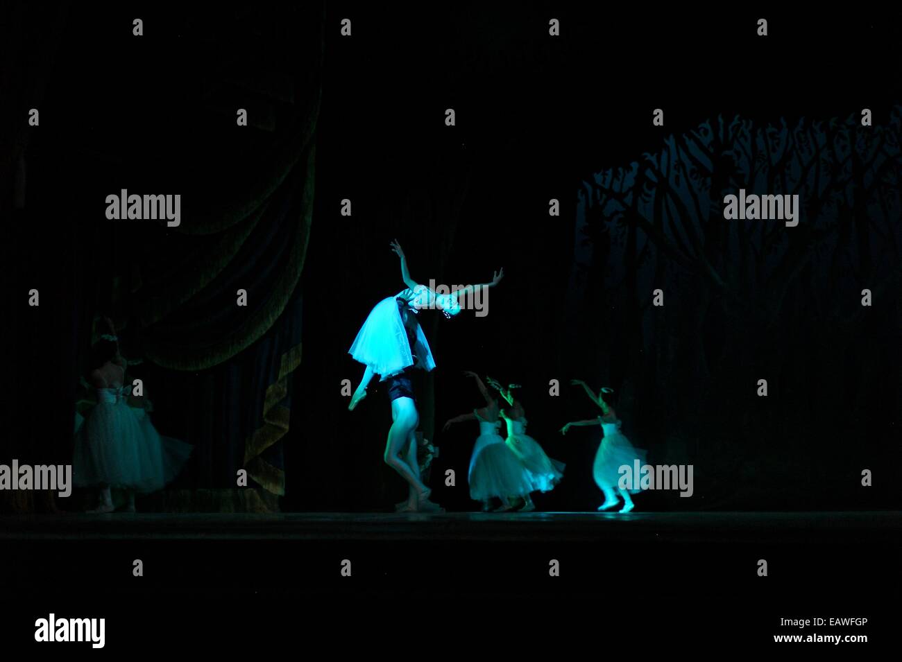 The Cuban National Ballet performs Swan Lake Stock Photo - Alamy