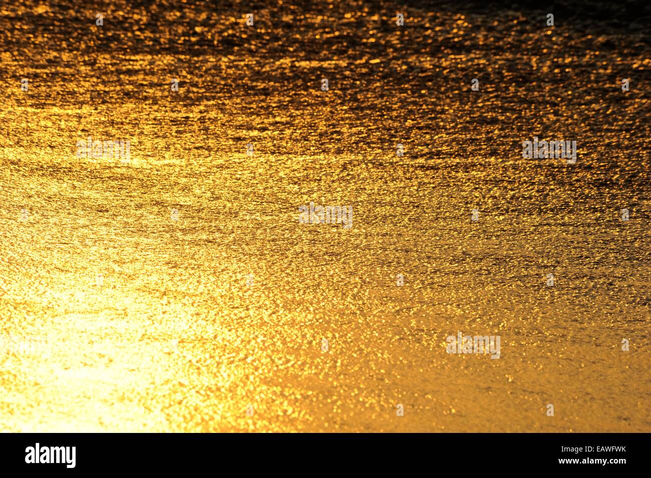 Golden sunlight reflects off hi-res stock photography and images - Alamy