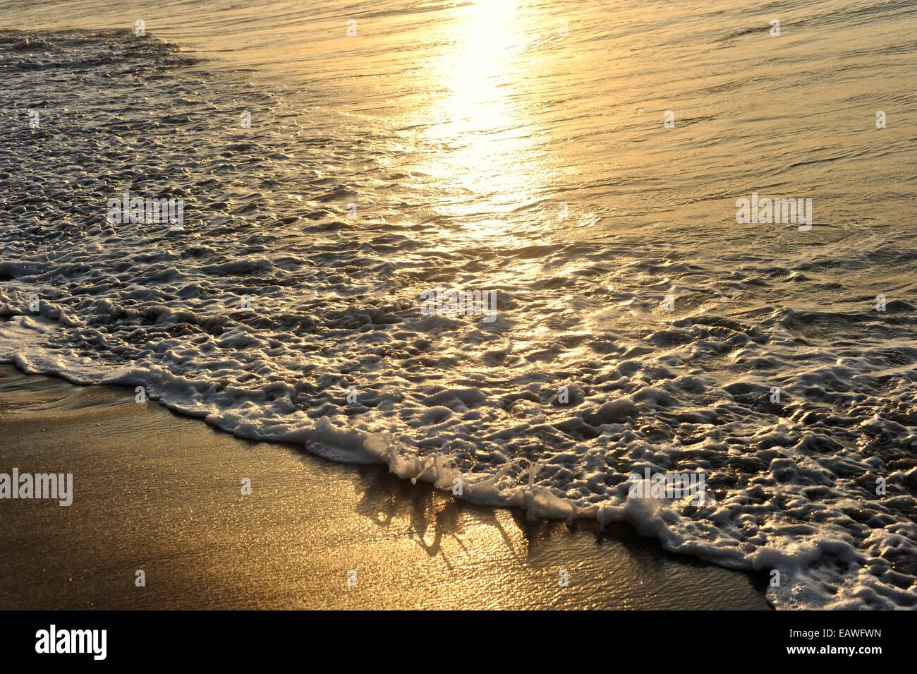 Sunlight reflects off the surf at sunrise Stock Photo - Alamy