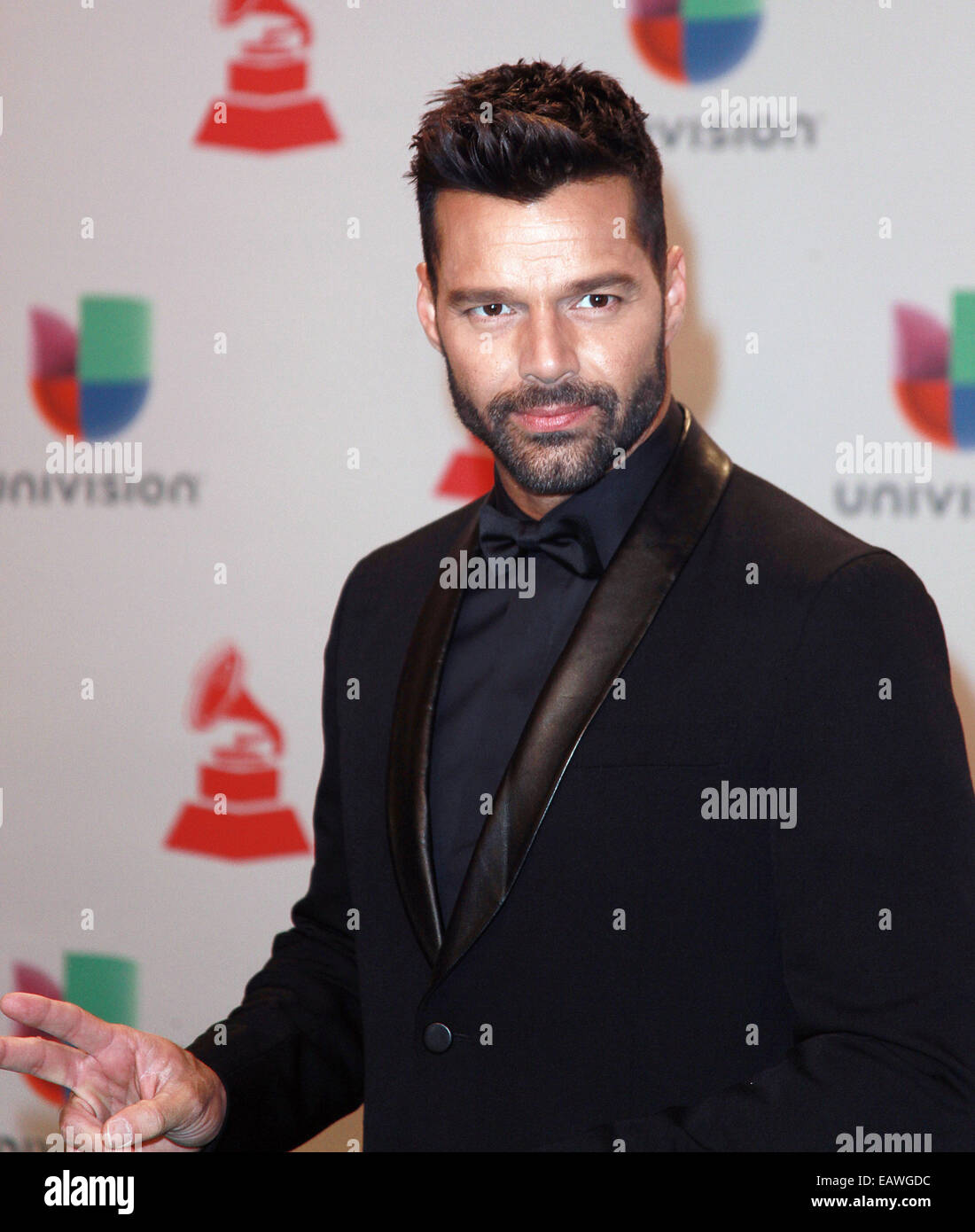 Las Vegas, Nevada, USA. 20th Nov, 2014. Singer Ricky Martin attends the ...