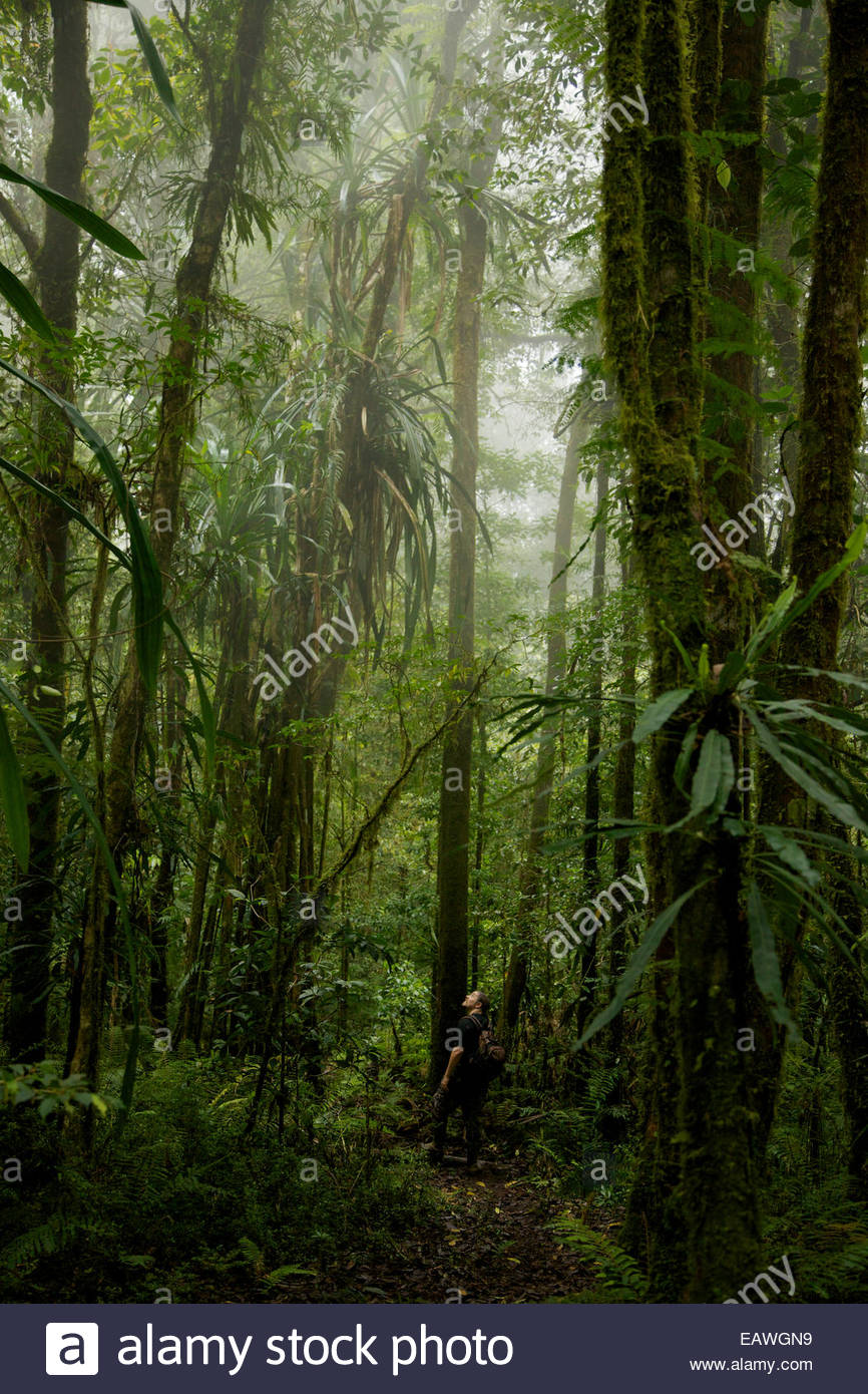 Huon Peninsula Stock Photos & Huon Peninsula Stock Images - Alamy