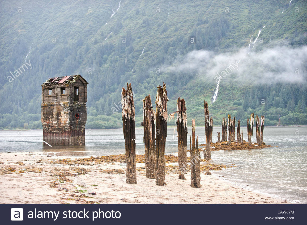 Treadwell High Resolution Stock Photography and Images - Alamy