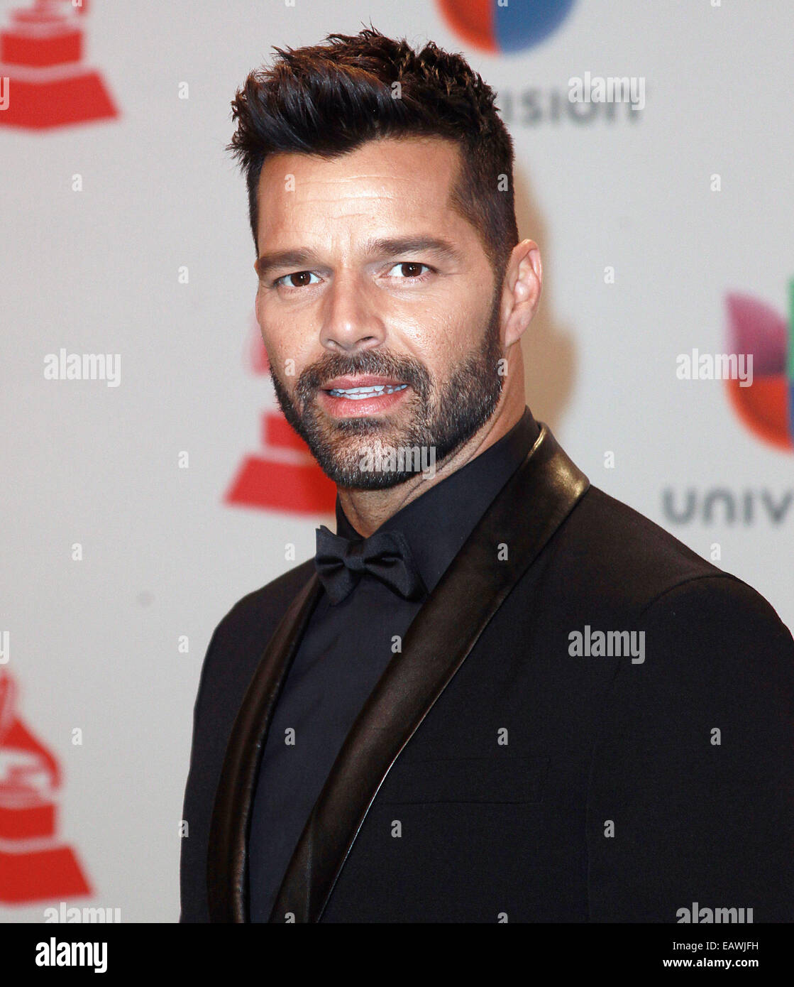 Las Vegas, Nevada, USA. 20th Nov, 2014. Singer Ricky Martin attends the ...