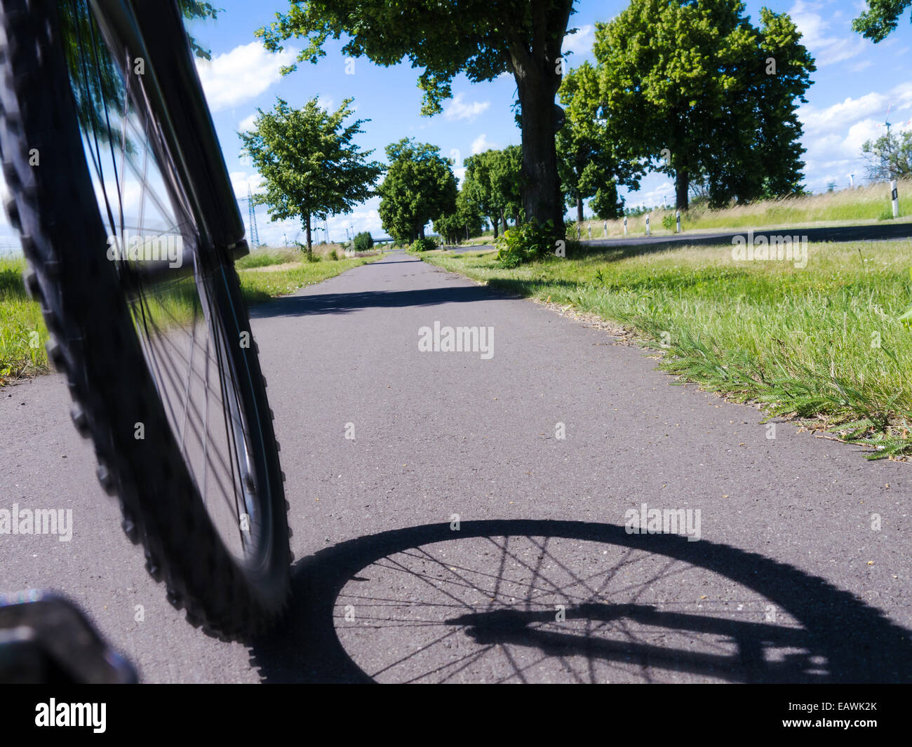 cycling on a way in landscape with trees and blue sky Stock Photo - Alamy