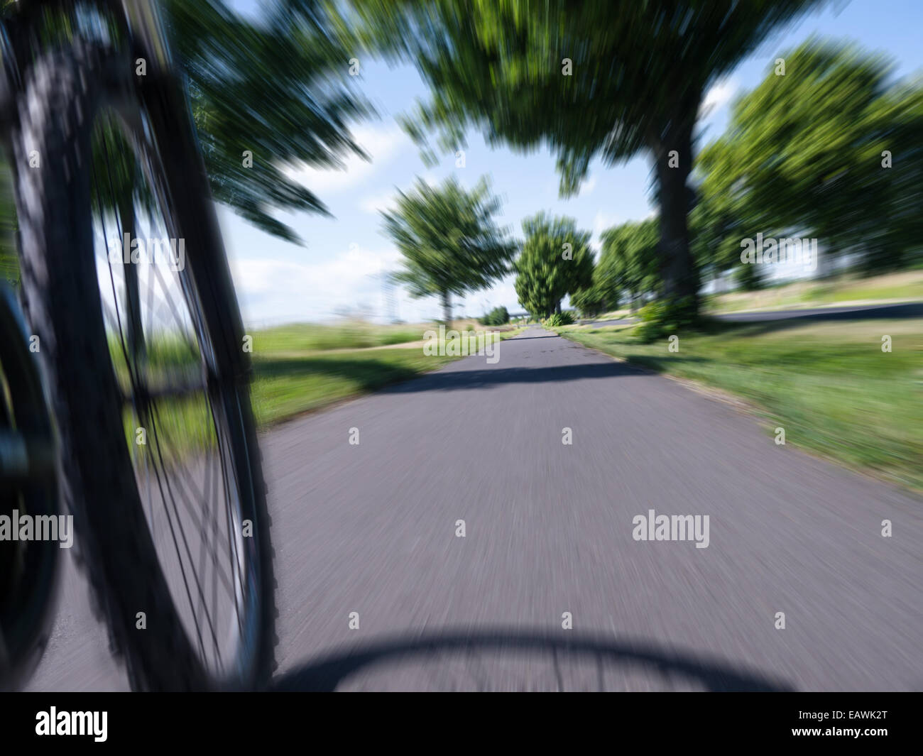 fast cycling on a way in landscape with trees Stock Photo - Alamy