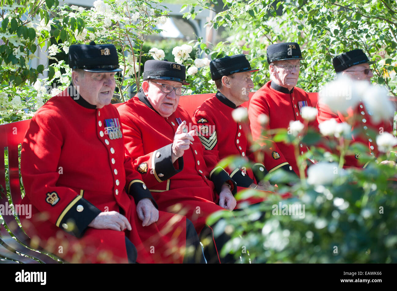 Atmosphere at chelsea flower show hi-res stock photography and images ...