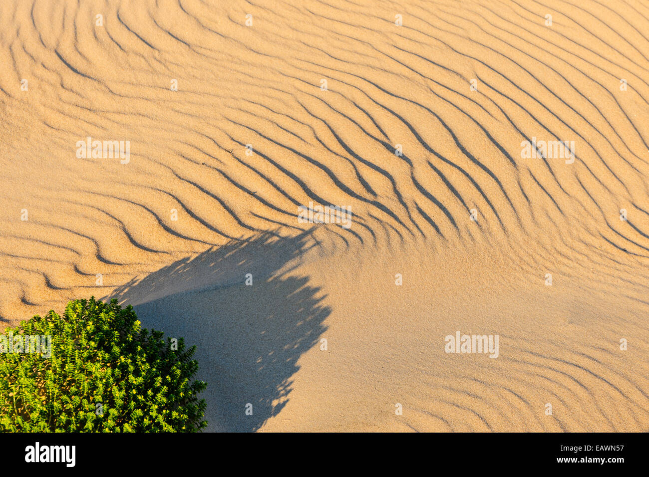 Layers of sand hi-res stock photography and images - Alamy