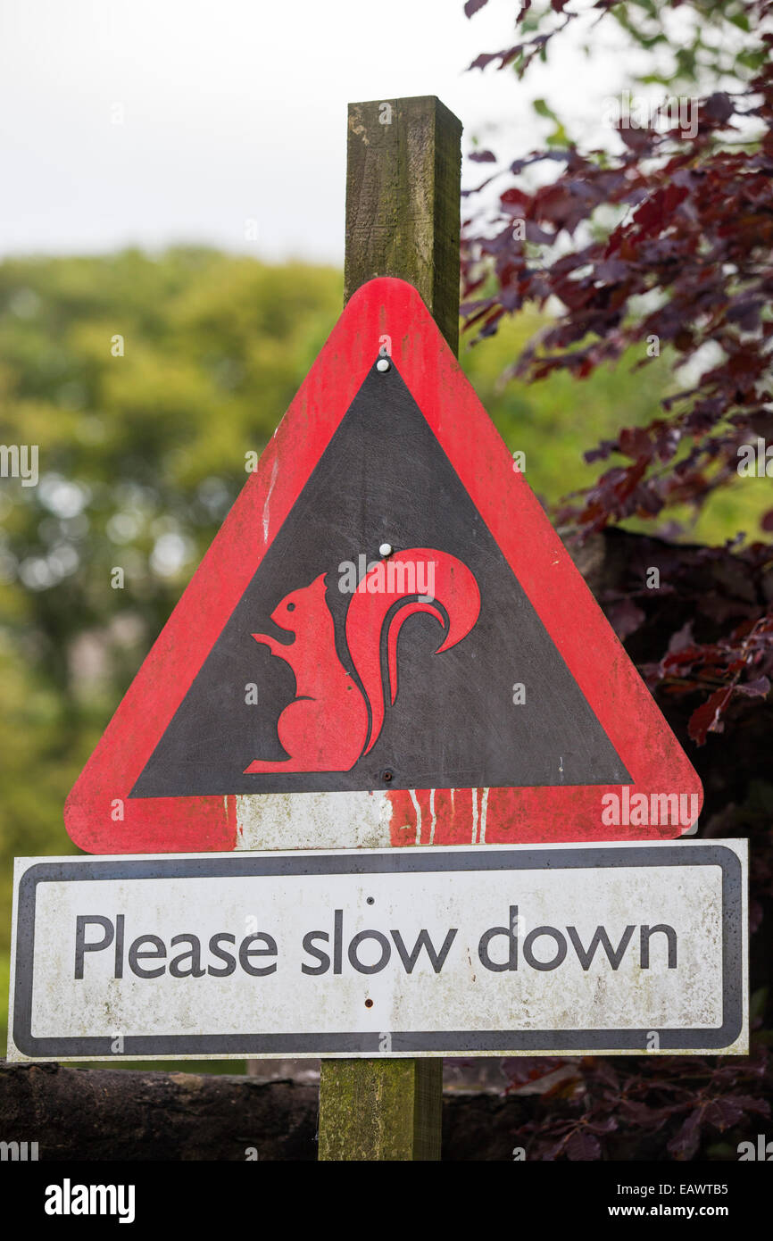 Squirrel road sign hi-res stock photography and images - Alamy