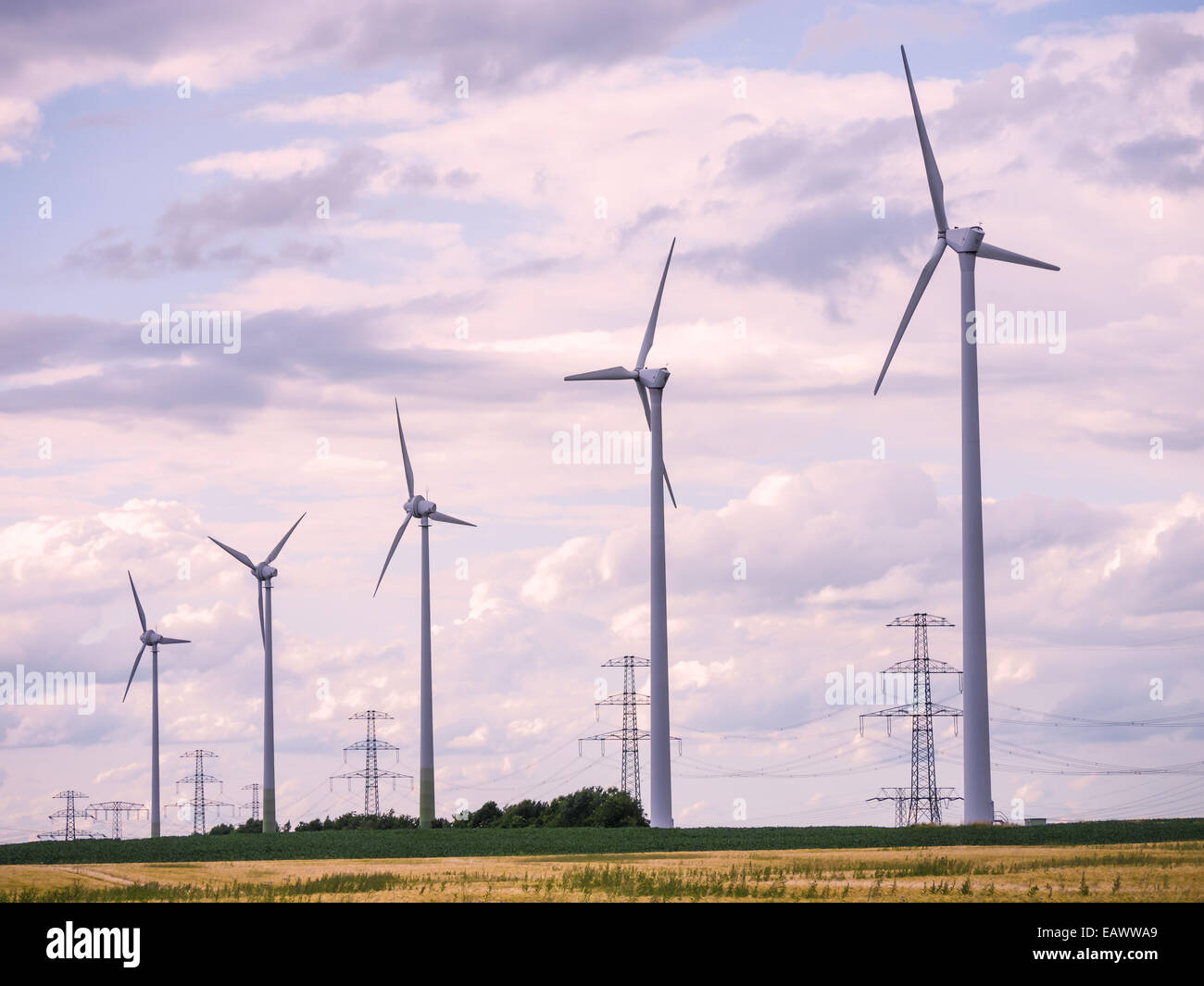 Field and electrical towers hi-res stock photography and images - Alamy