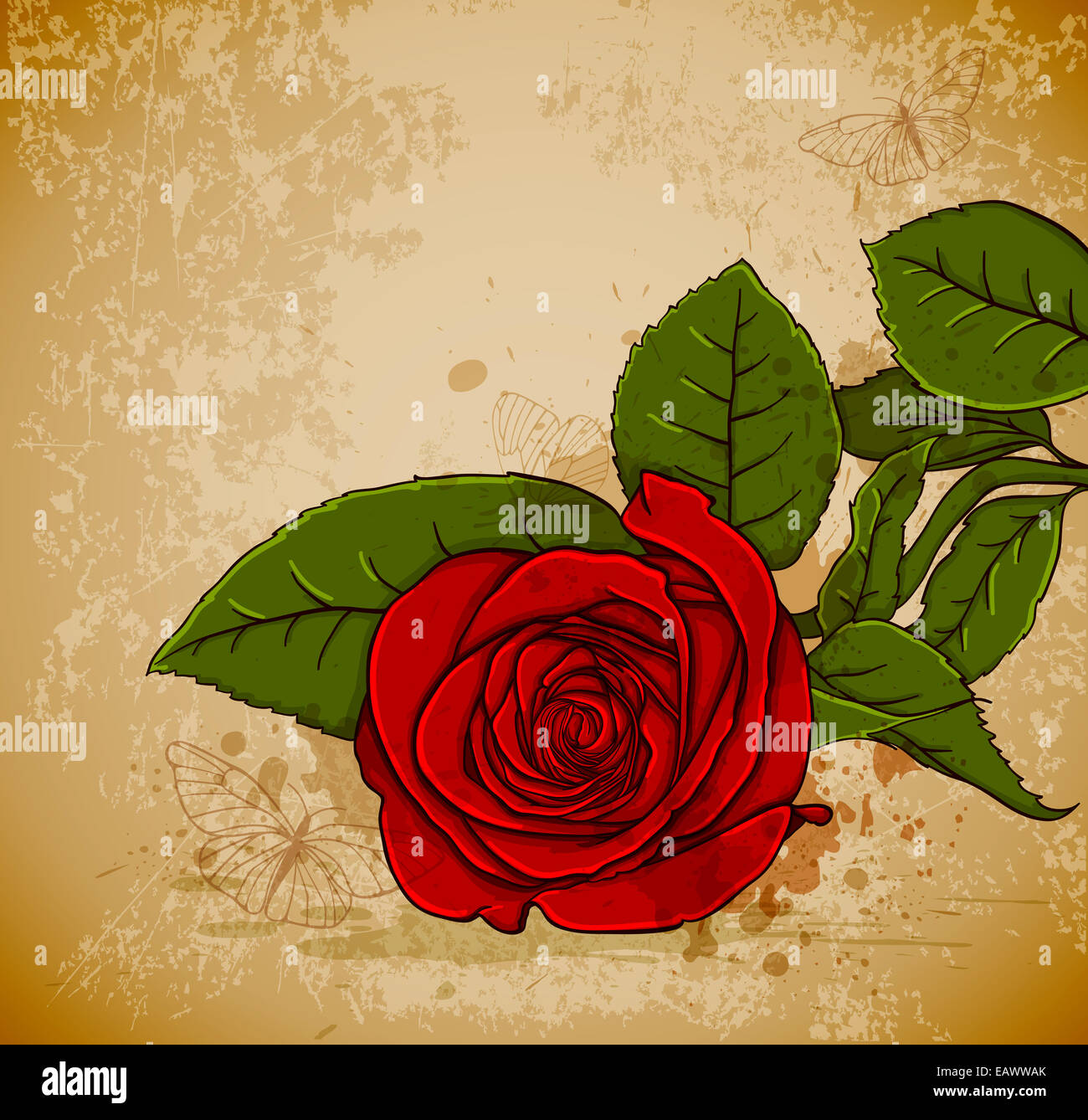 Vintage floral background with red rose Stock Photo - Alamy