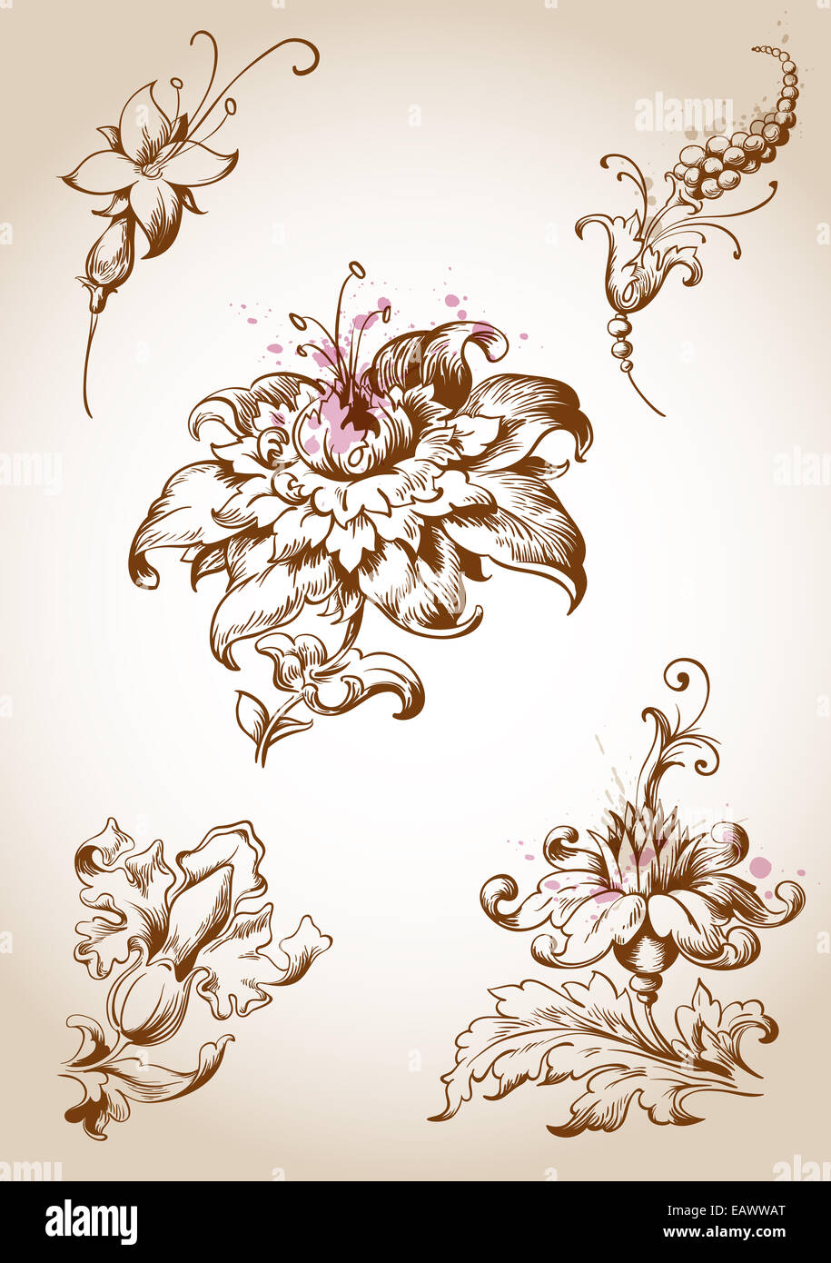 Victorian plant drawing hi-res stock photography and images - Alamy