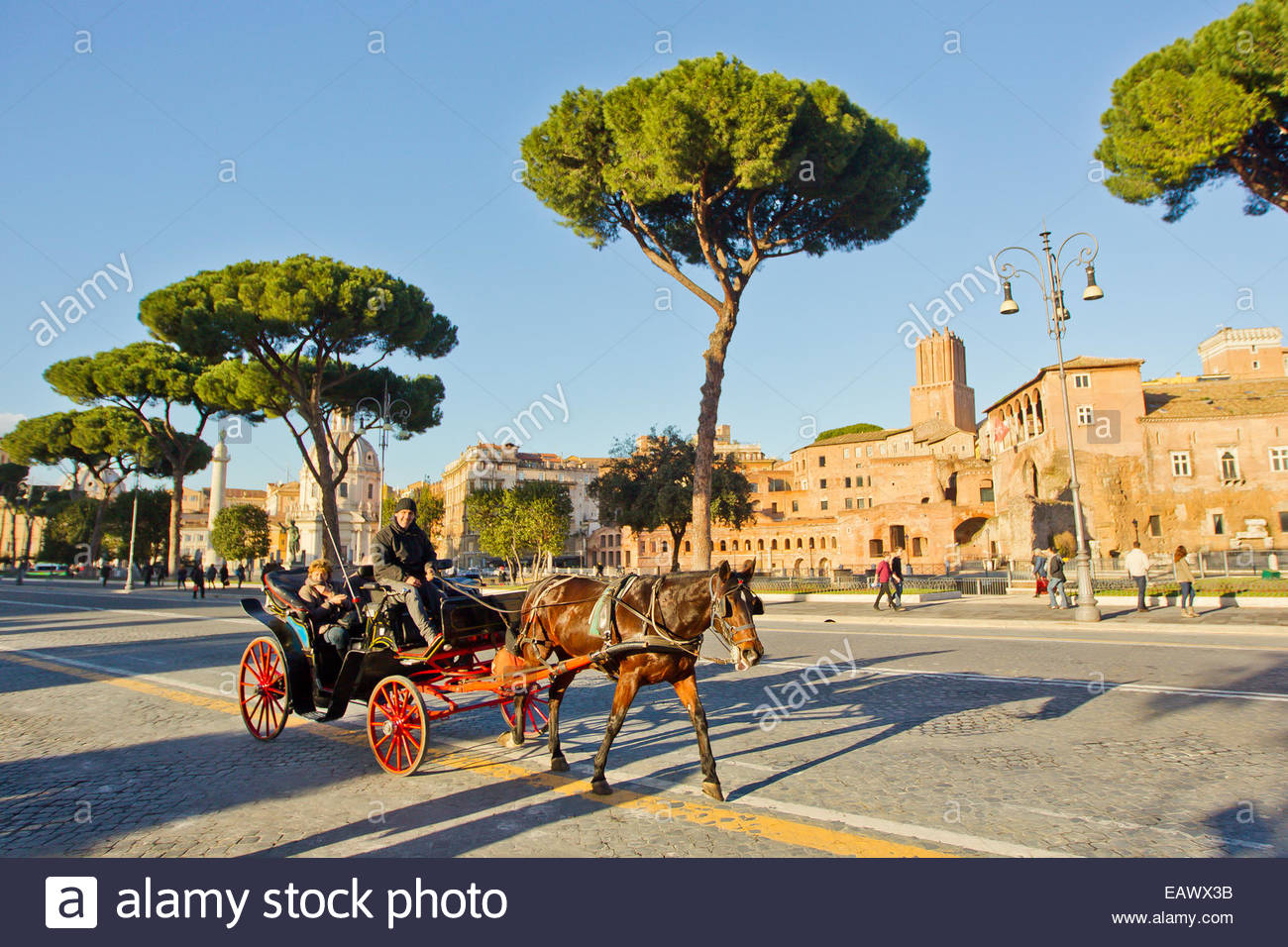 Roman Horse Carriage High Resolution Stock Photography and Images - Alamy