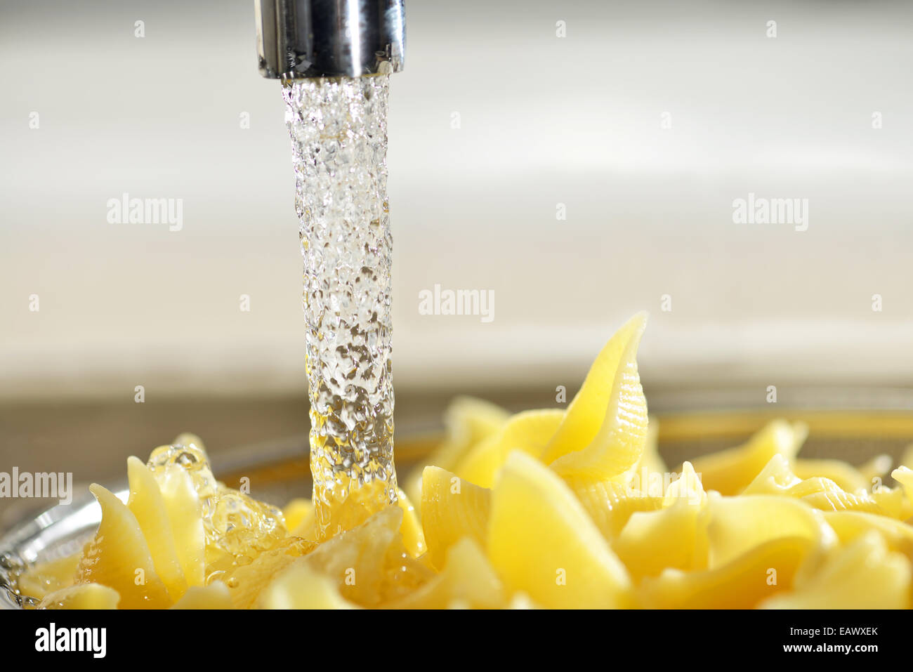 Cleaning shells hi-res stock photography and images - Alamy