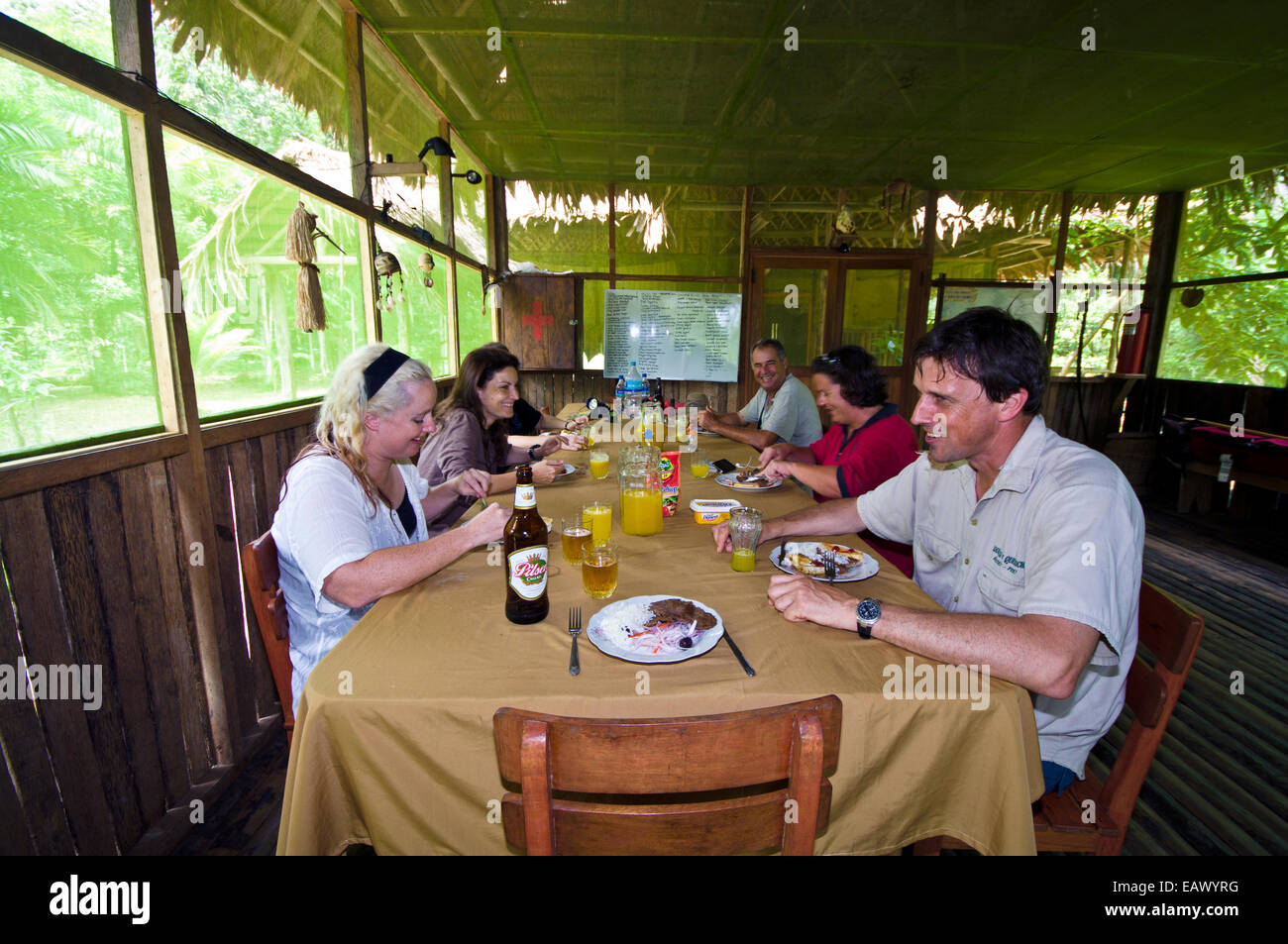 Amazon rainforest interior view hi-res stock photography and images - Alamy