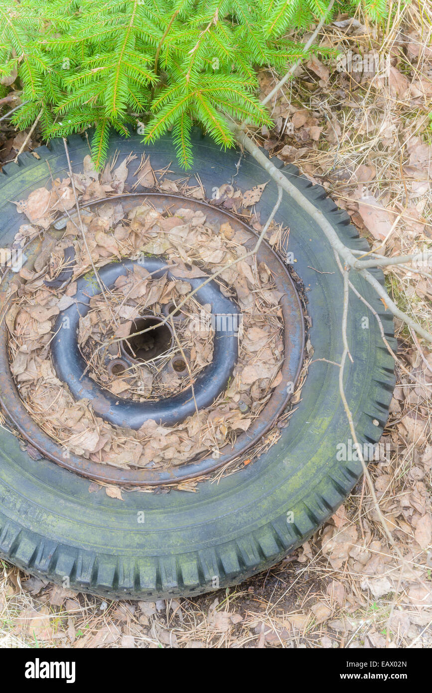 Tire covered in brown leaves lying on the ground Stock Photo - Alamy
