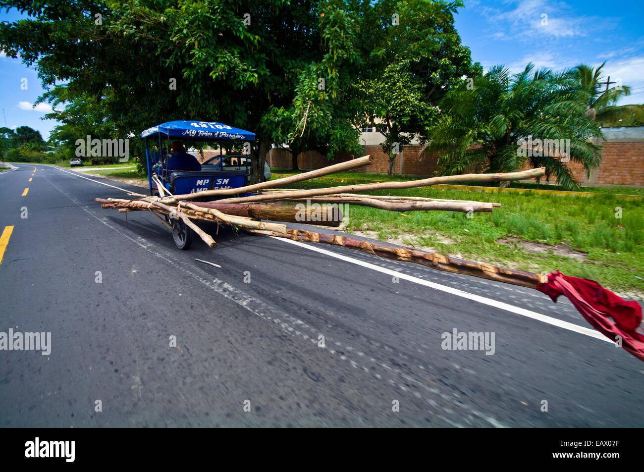A red flag behind a rickshaw carrying timber poles from a mill and ...
