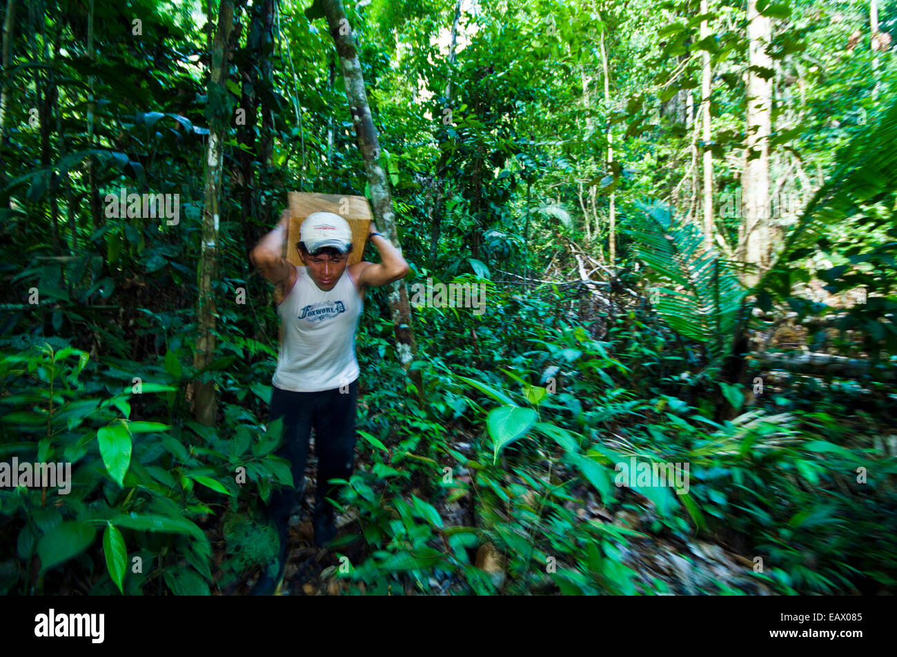 Back Breaking Labor High Resolution Stock Photography and Images - Alamy