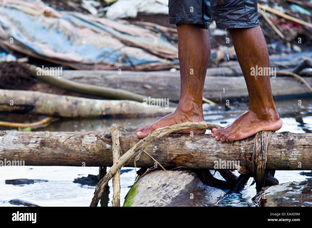 A laborer walks across logs lashed together with vines to form a ramp ...