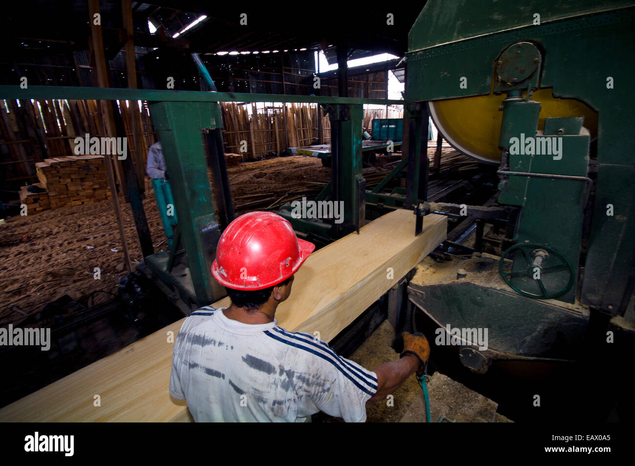 Amazon rainforest interior view hi-res stock photography and images - Alamy