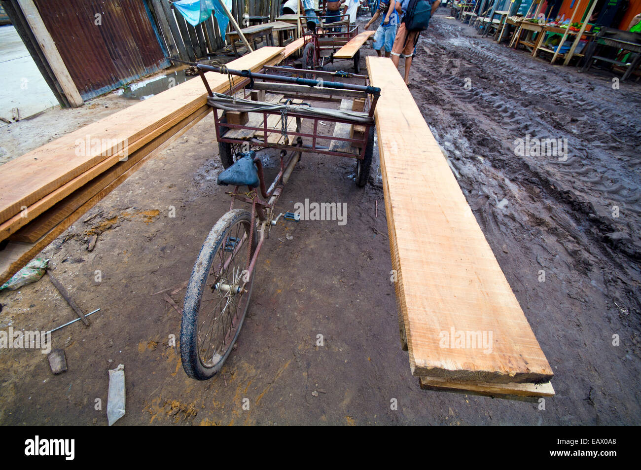 A village bike used to transport timber slats cut from rainforest trees ...