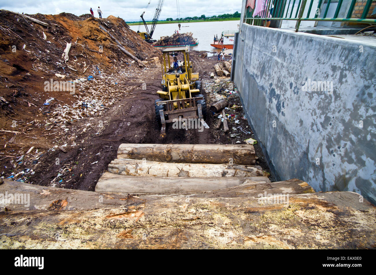 Log loader rainforest hi-res stock photography and images - Alamy
