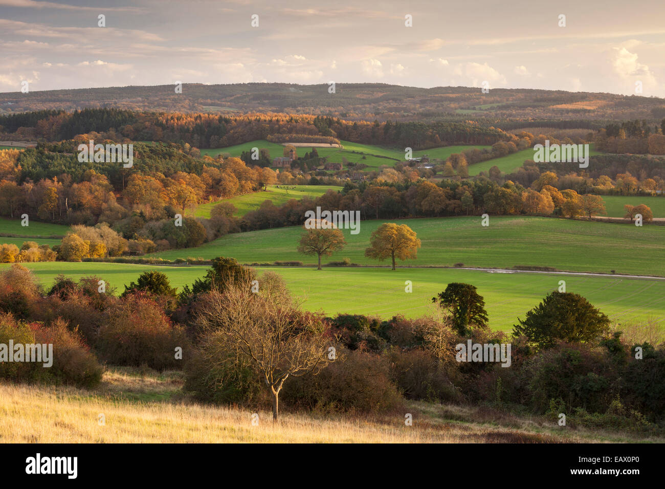 Surrey Hills High Resolution Stock Photography and Images - Alamy