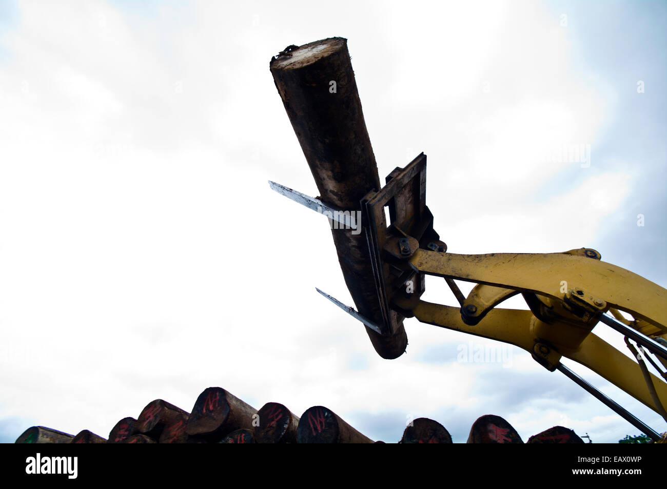 Grapple tree hi-res stock photography and images - Alamy