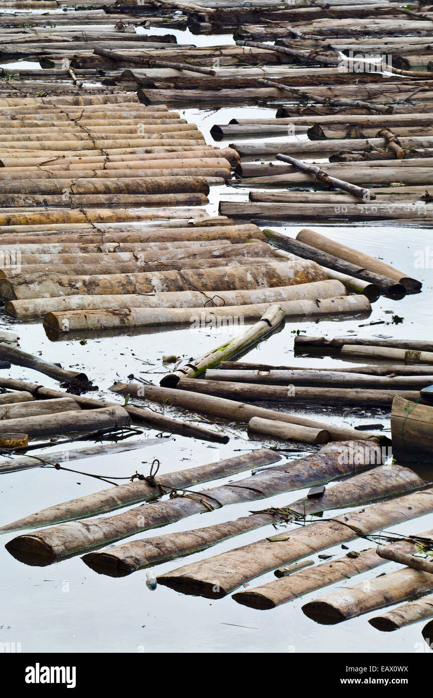 The Amazon River choked with logs from rainforest trees waiting to be ...