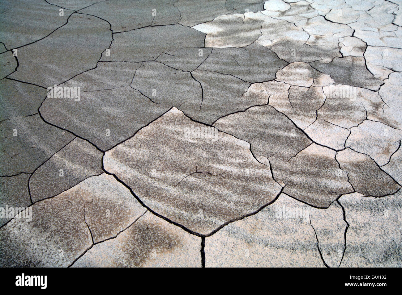 Drought and deforestation reek havoc on water levels in the Amazon ...