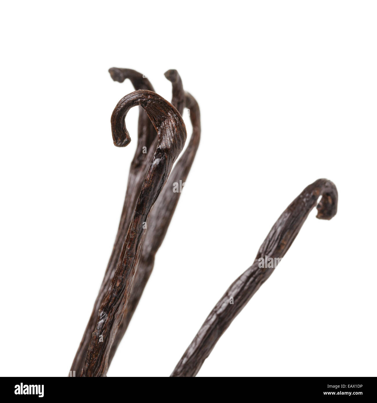 fresh bourbon vanilla pods, isolated on white background Stock Photo ...