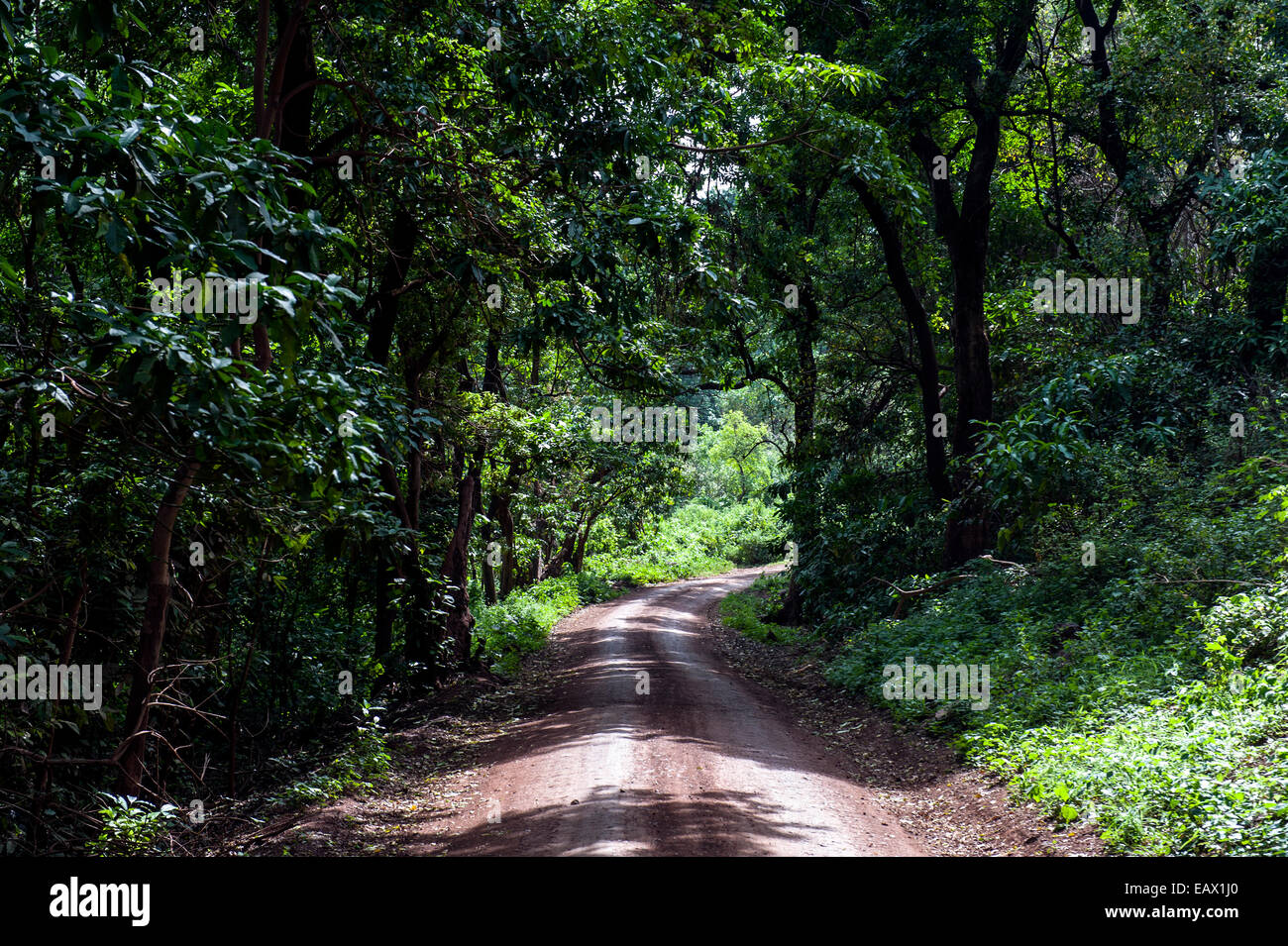 Shaded hi-res stock photography and images - Alamy