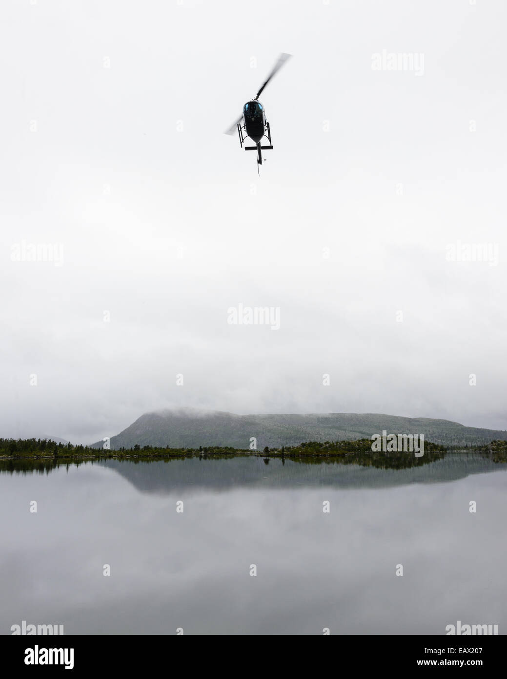 Aircraft flying over forest hi-res stock photography and images - Alamy
