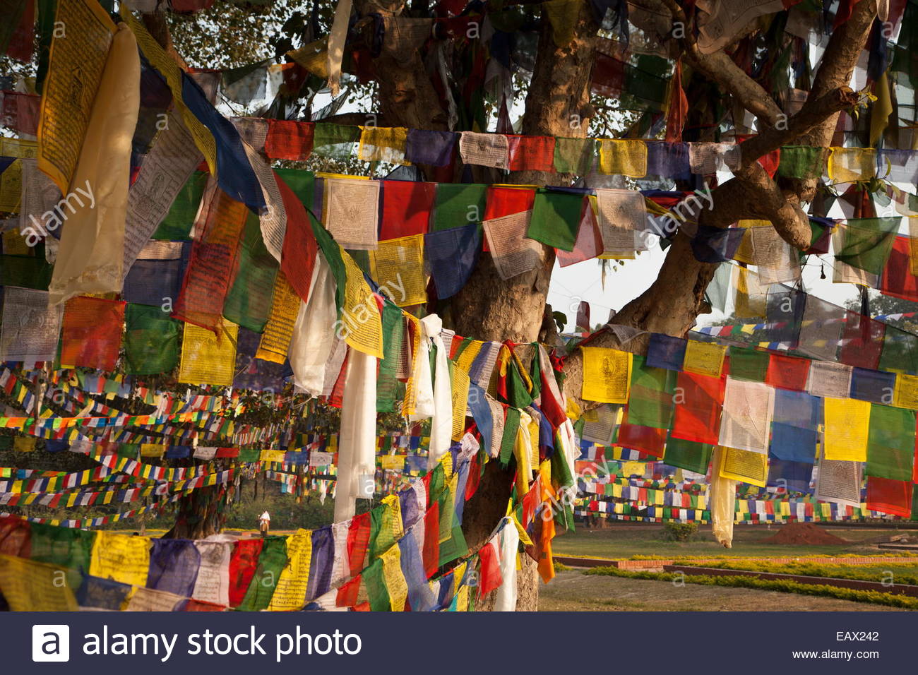 Holy Flags Stock Photos & Holy Flags Stock Images - Alamy