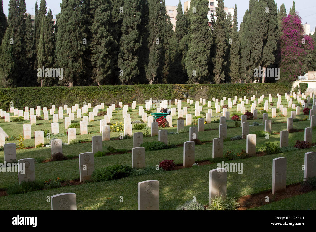 Beirut Lebanon. 21st November 2014. Gardeners clean and tidy the ...