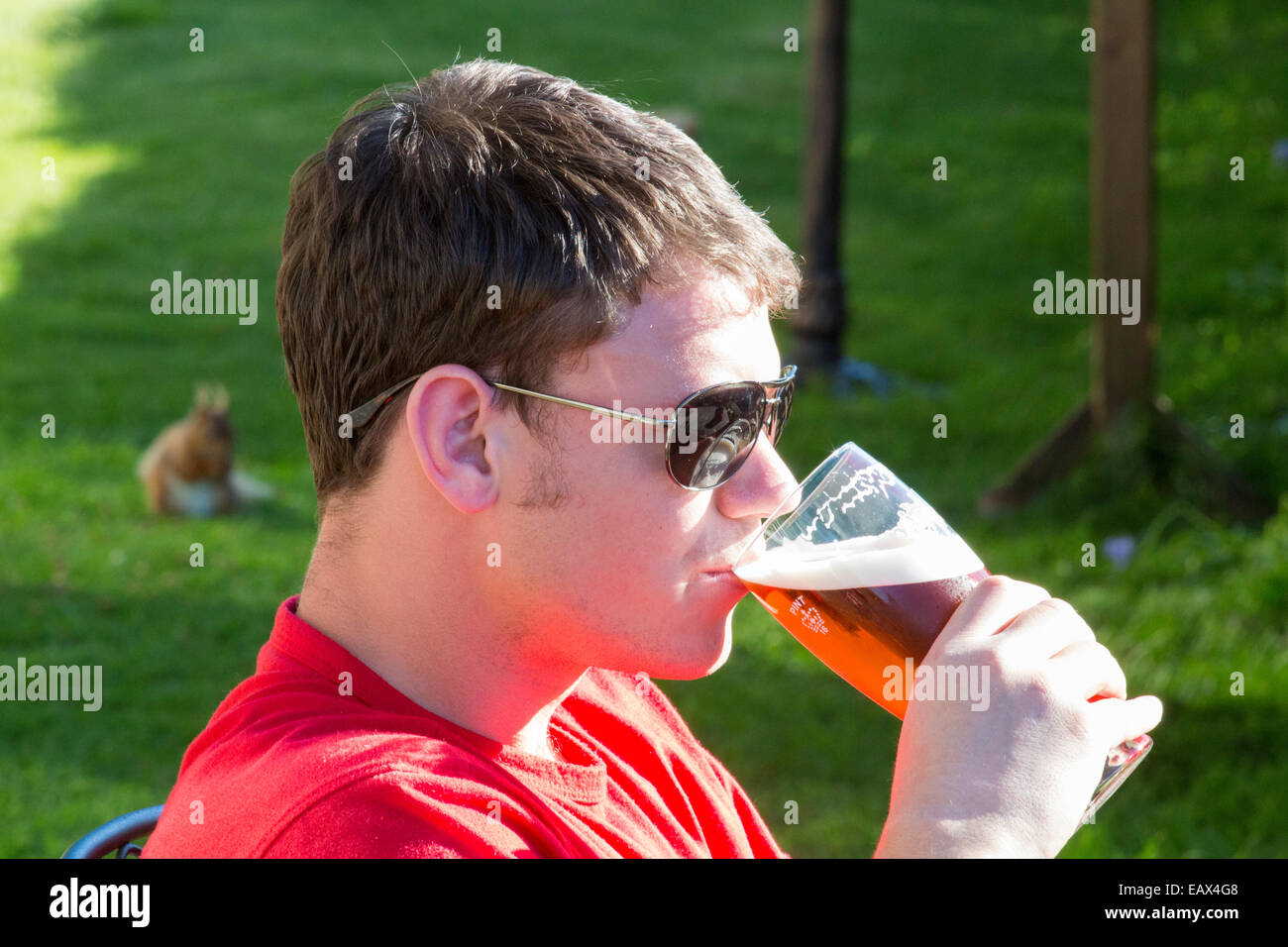 A man drinking at a pub with a Red Squirrel behind in Haweswater valley ...
