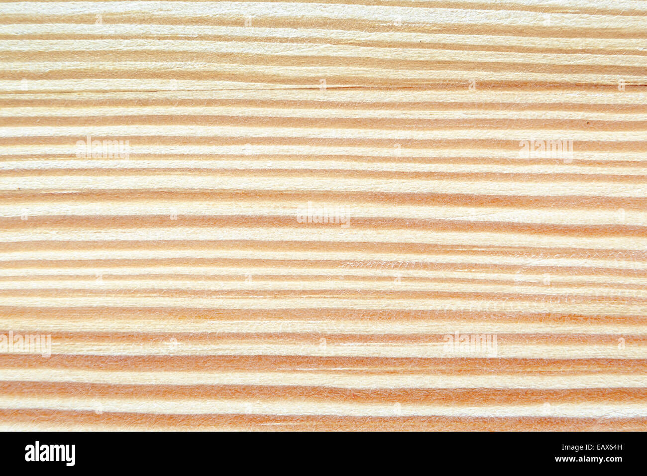 detailed pattern of striped wooden plank Stock Photo - Alamy