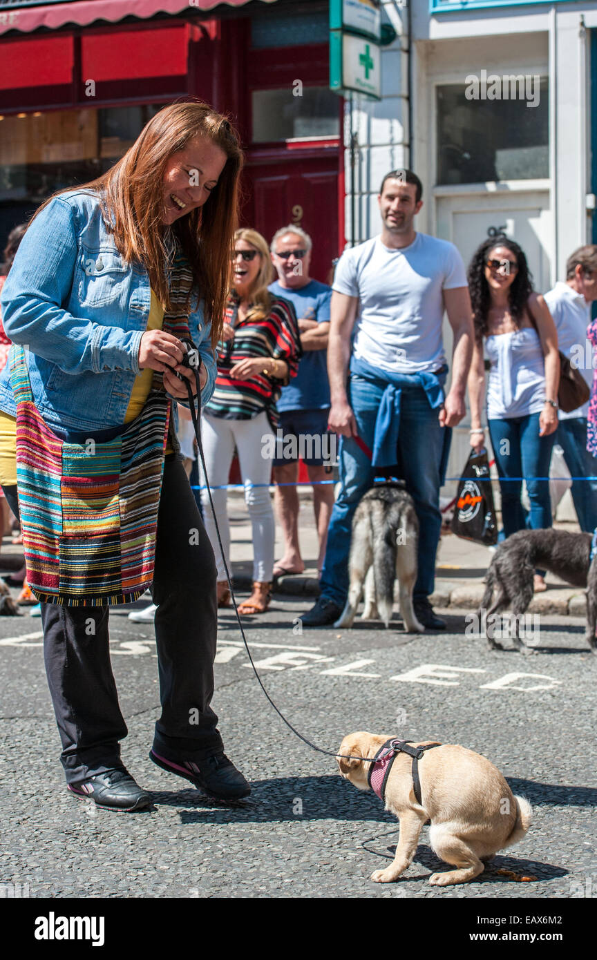Honey the five month old Pug pup, does a poop during the Primrose Hill ...