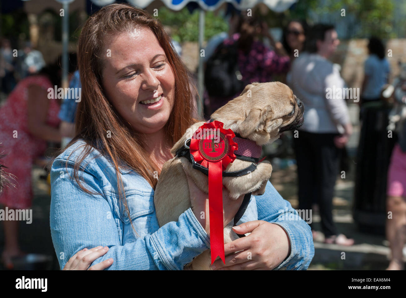 Honey the five month old Pug pup, does a poop during the Primrose Hill ...