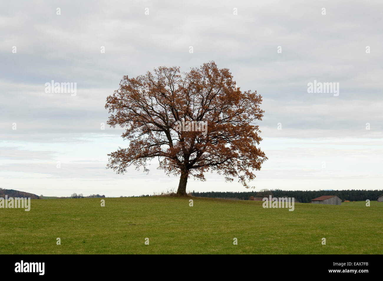 Circle four seasons hi-res stock photography and images - Alamy