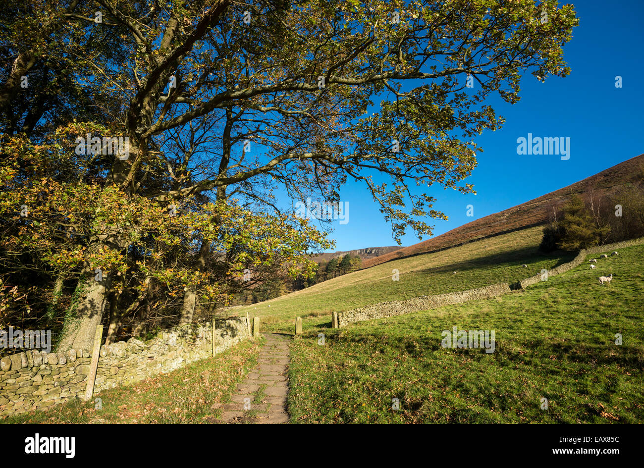 Grindsbrook peak district hi-res stock photography and images - Alamy