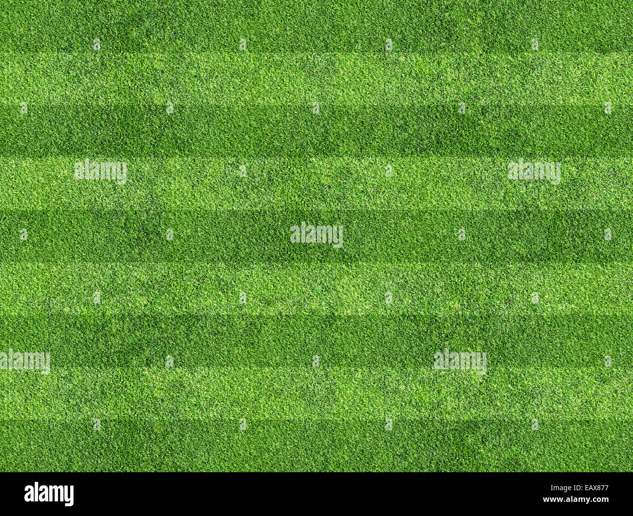 Grass stadium football hi-res stock photography and images - Alamy