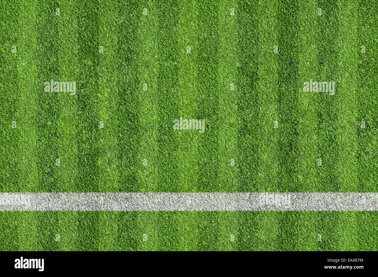 grass of sport field Stock Photo - Alamy